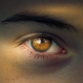 Focus On What You Want To Create | Dawn Cady