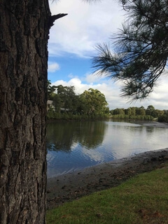 Standing Yoga Sequence | Lisa Pollard