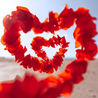 Speak Your Truth | Tim Ellerbe