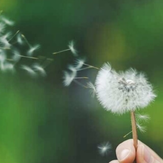Meadow Walk Meditation | Jacqueline Watson