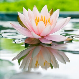 Guided Meditation With Ven. Pomnyun Sunim (Sep 27, 2020/S25) | Ven ...