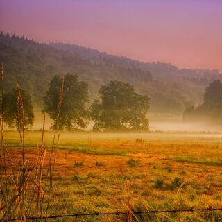 6-Minute Morning Grounding | Beth Morrow