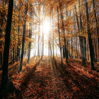 Convergence Of Light & Shadow | Weston Brown