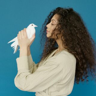 My White Dove | Mandy Sutter