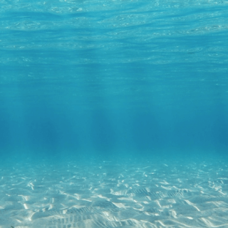 Resting In The Ocean Of Peace - 5 Min Daily Insight | Arielle Margalit ...