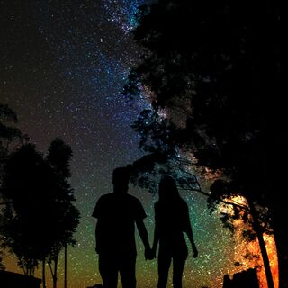 Learn What Elements Influence Who We’re Attracted To | Dr Traci Moreno