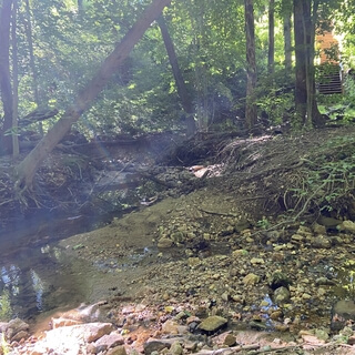 Activating & Amplifying Your Aliveness Guided Meditation | Amy Babish