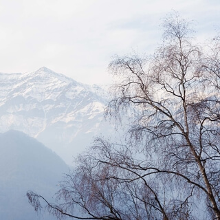 Guida per principianti alla percezione dei Chakra. | David Rama