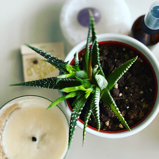 Slowing Down Our Breath | Meghan Ruttan