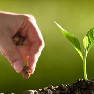 Planting Seeds Of Intention | Tara Eser Segree