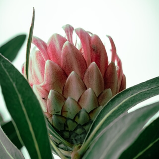 Welcoming Prenatal Meditation | Lisa Malinowski Kamran