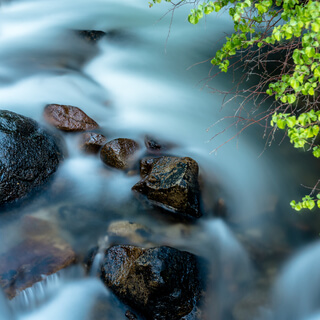 Words Of Zen Master Lin-Chi | Jayaji