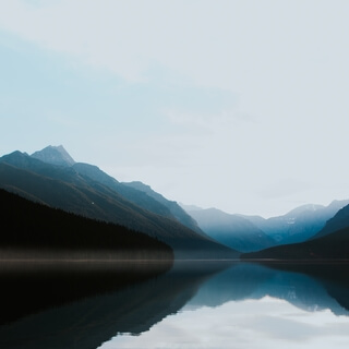 Are You Acting Or Are You Reacting? | Ian Ritter Evolution, Insight Timer