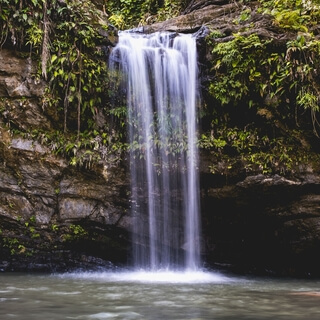 Forest Waterfall Visualization For Relaxation And Sleep | Adam Coutts