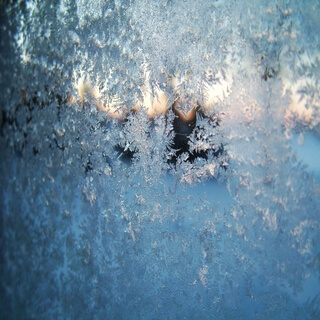 Frost Patterns | Marcus C Dolan