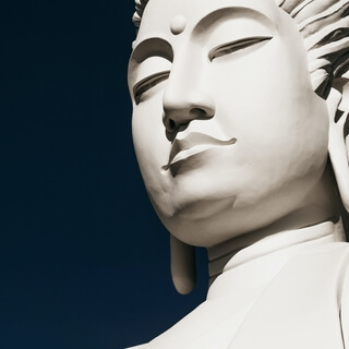 Cultivating Loving Kindness For All | Ann Mathie