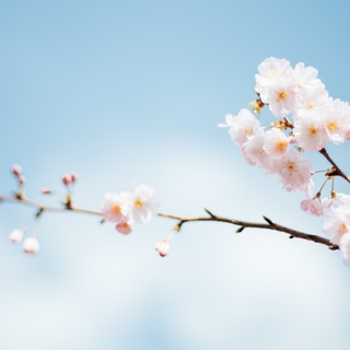 Cultivate Compassion For The Self & Others | Heather Talbot