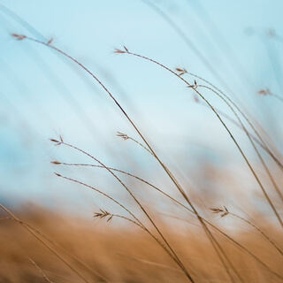 Mindfulness Based Stillness Meditation (MBSM) | Freya Bennett-Overstall