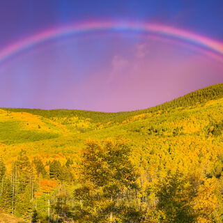 Transcend Practice (Week 1) | Julia Andreini