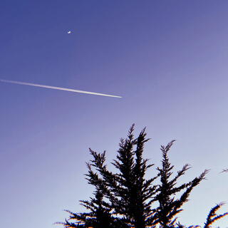 Self Love Visualization Meditation | Jesse Bax