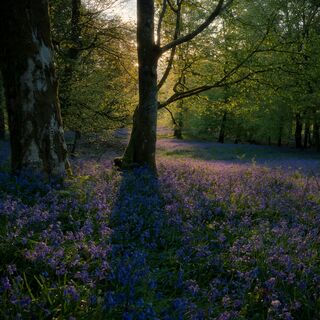 Remember Who You Truly Are | Eric John Campbell