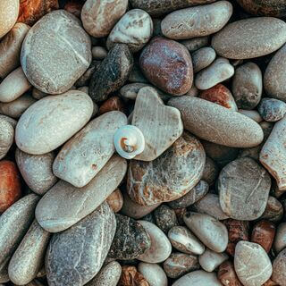 Dharma Of The Stubborn Mind - Part 2 | Lisa Goddard