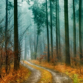 A Walk Through The Seasons | Chris Maxwell