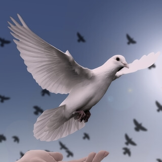 Enter In | Tim Ellerbe