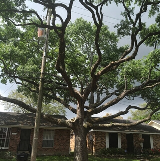 Grieving In The Chakras | Grace Harman