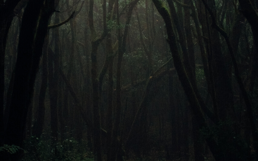 Harmonize Body, Mind And Soul (639Hz) | Mystical Zen