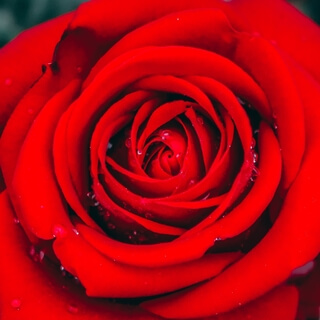 Simple Breath Awareness At The Heart | Sarah Rumble