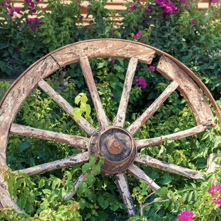 Wheel Of Awareness Full Practice | Adele Stewart