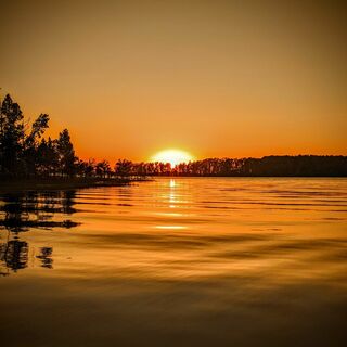 Get The Abundance You Deserve: A Powerful Meditation | Pura Rasa